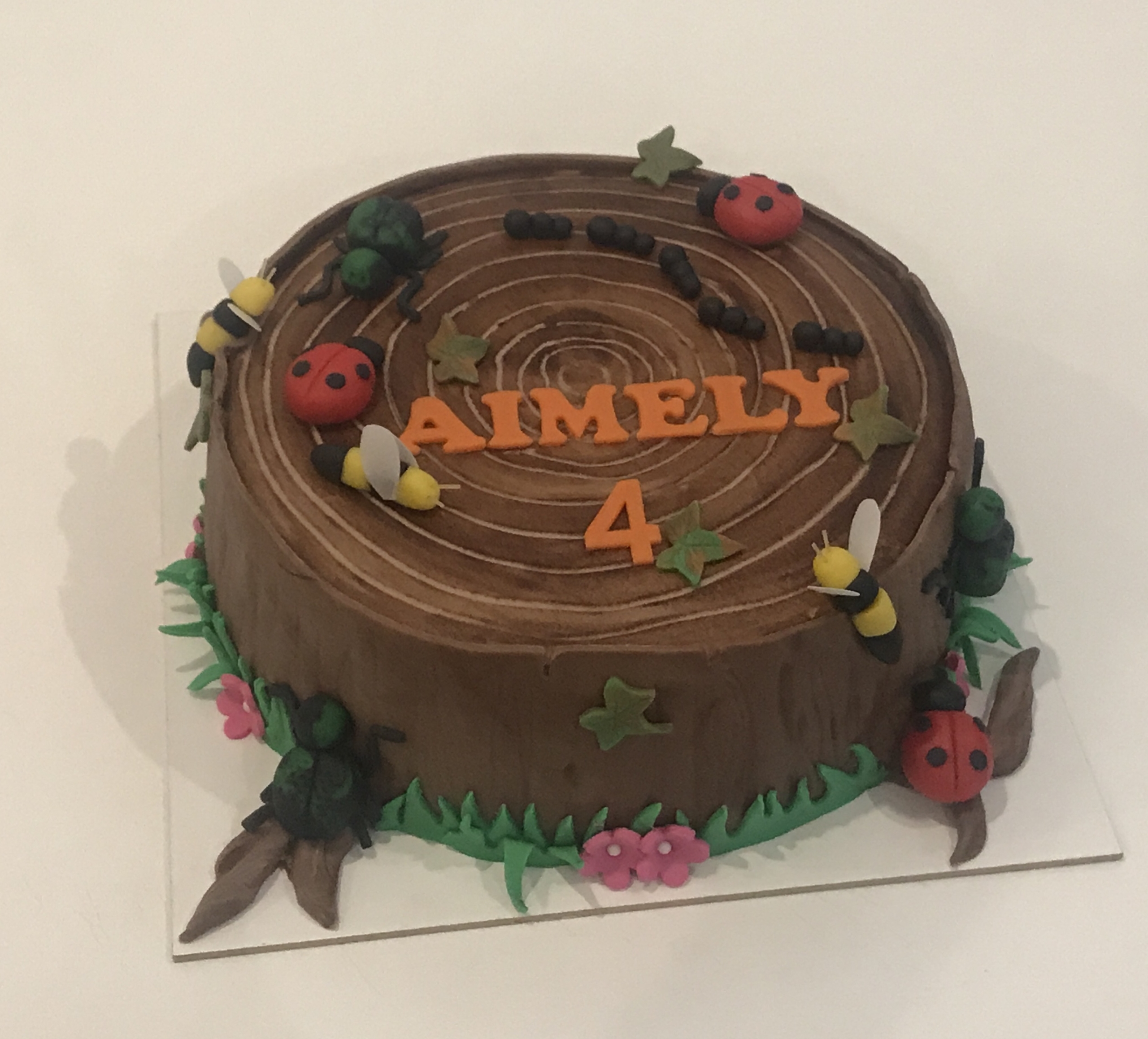 Insecten taart AIMELY - Het Taartenhuis