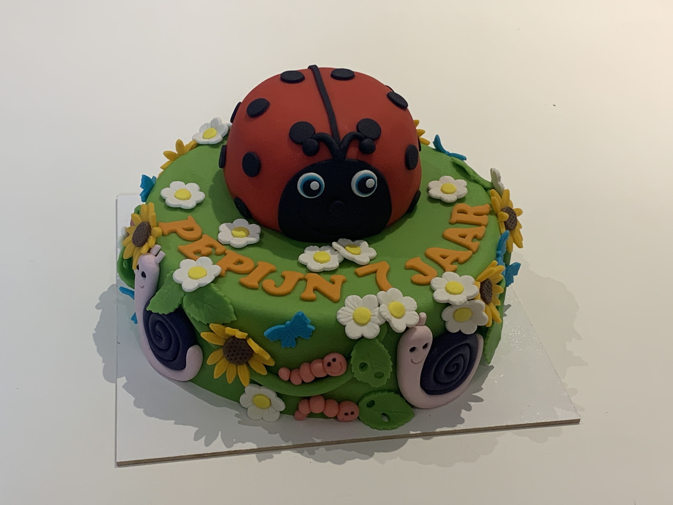 Lieveheersbeestje en insecten taart PEPIJN - Het Taartenhuis