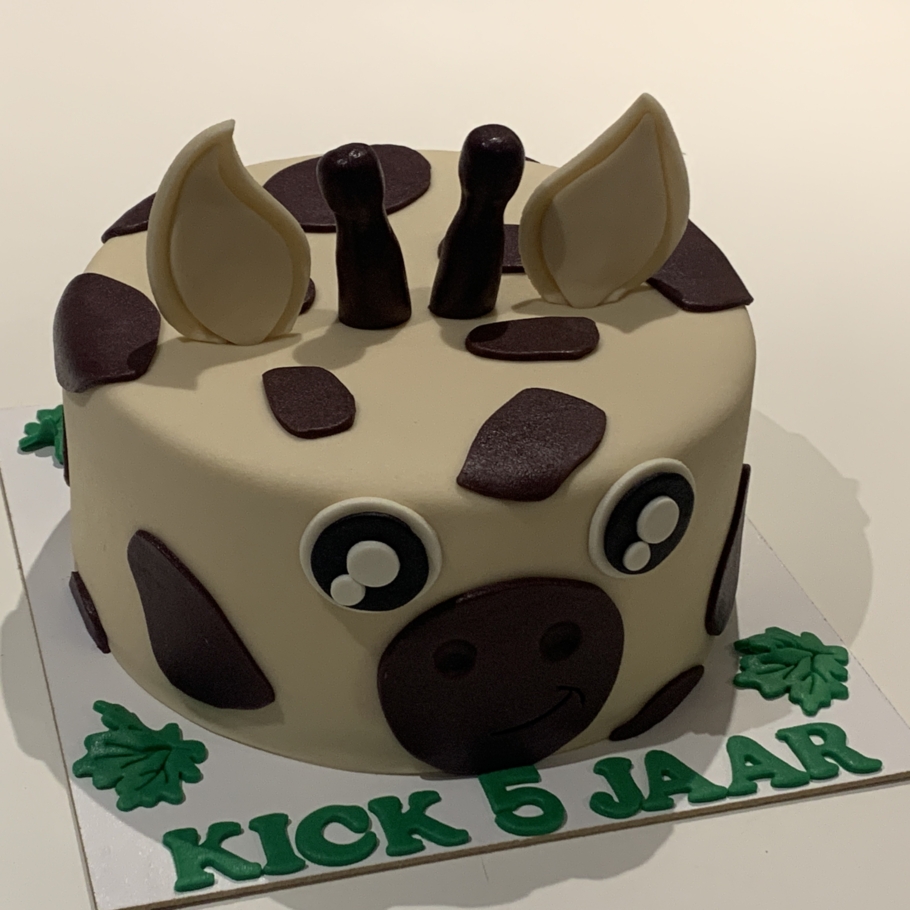 3D taart bestellen voor een verjaardag ? Bestel nu! | Het Taartenhuis