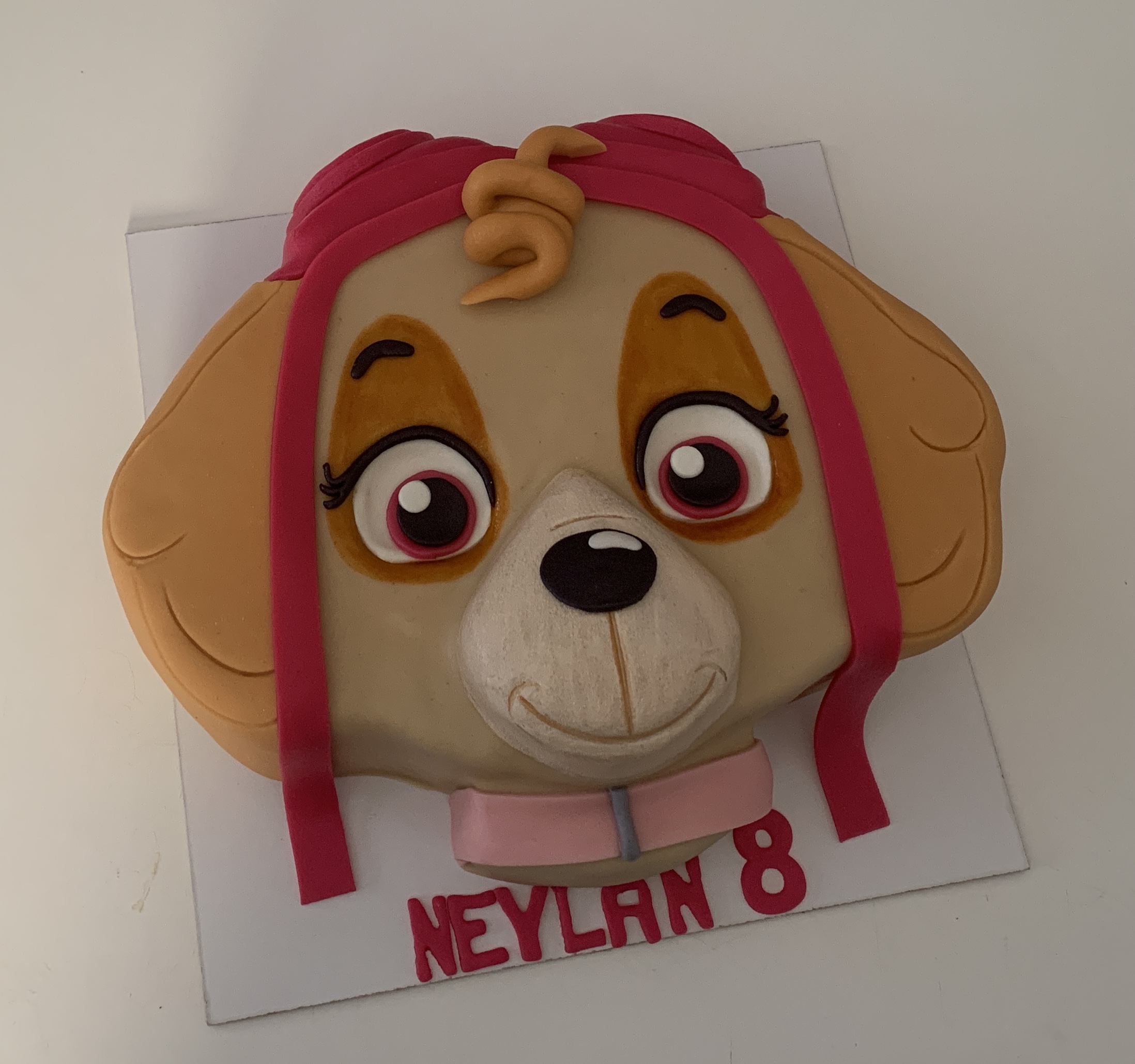 2D Paw Patrol SKYE taart NEYLAN - Het Taartenhuis