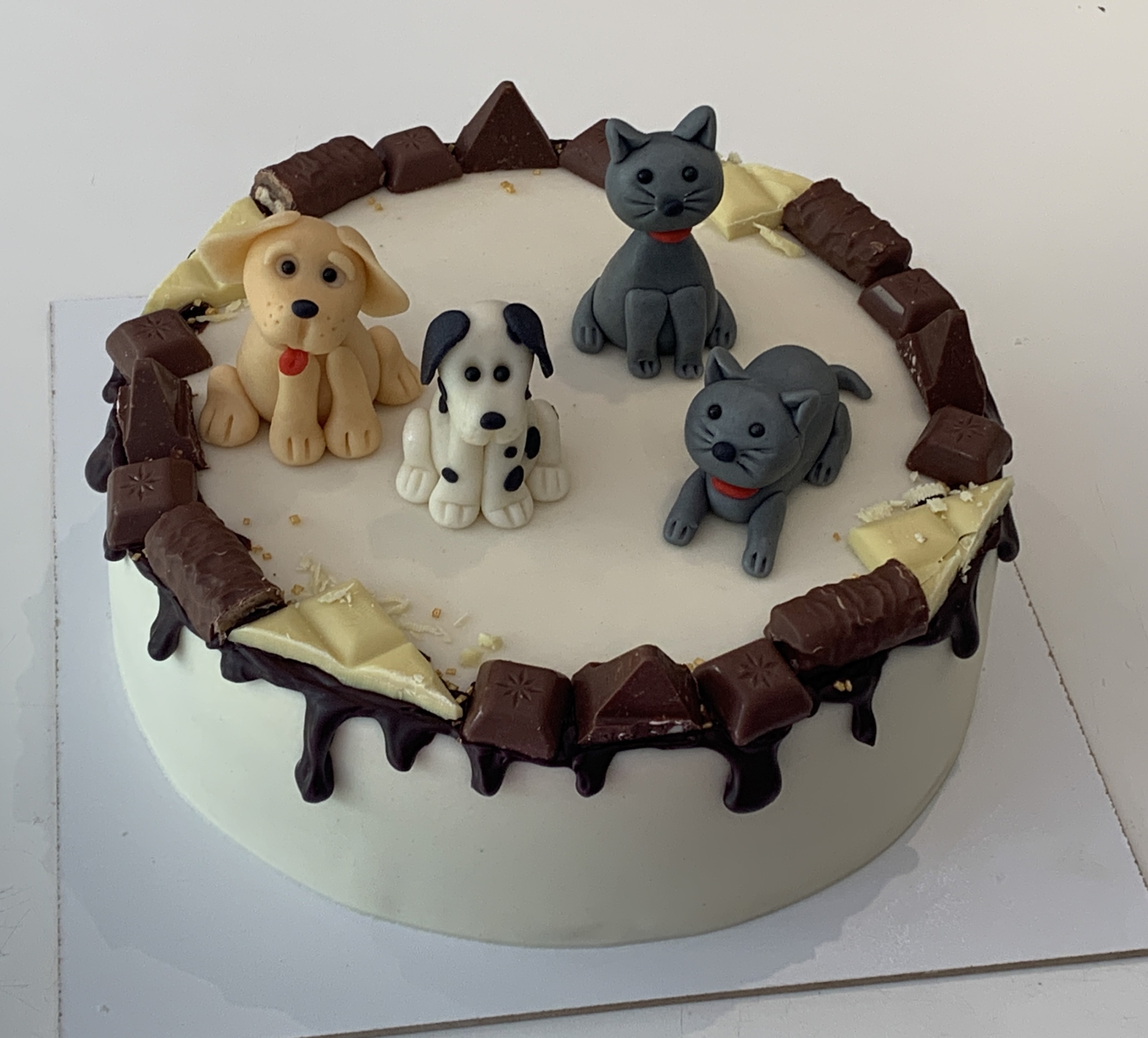 3D honden en Katten taart - Het Taartenhuis