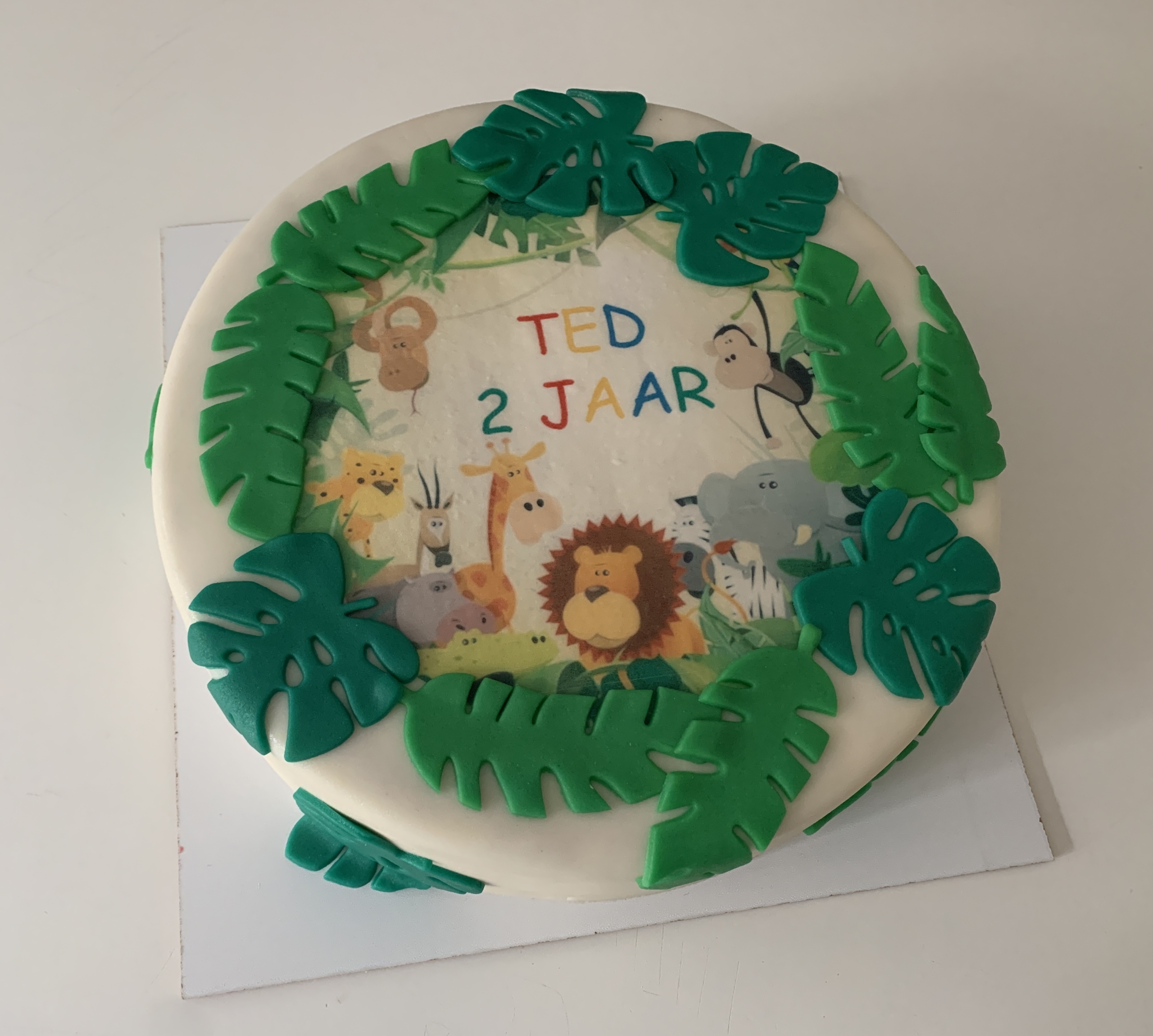 Dieren taart TED - Het Taartenhuis