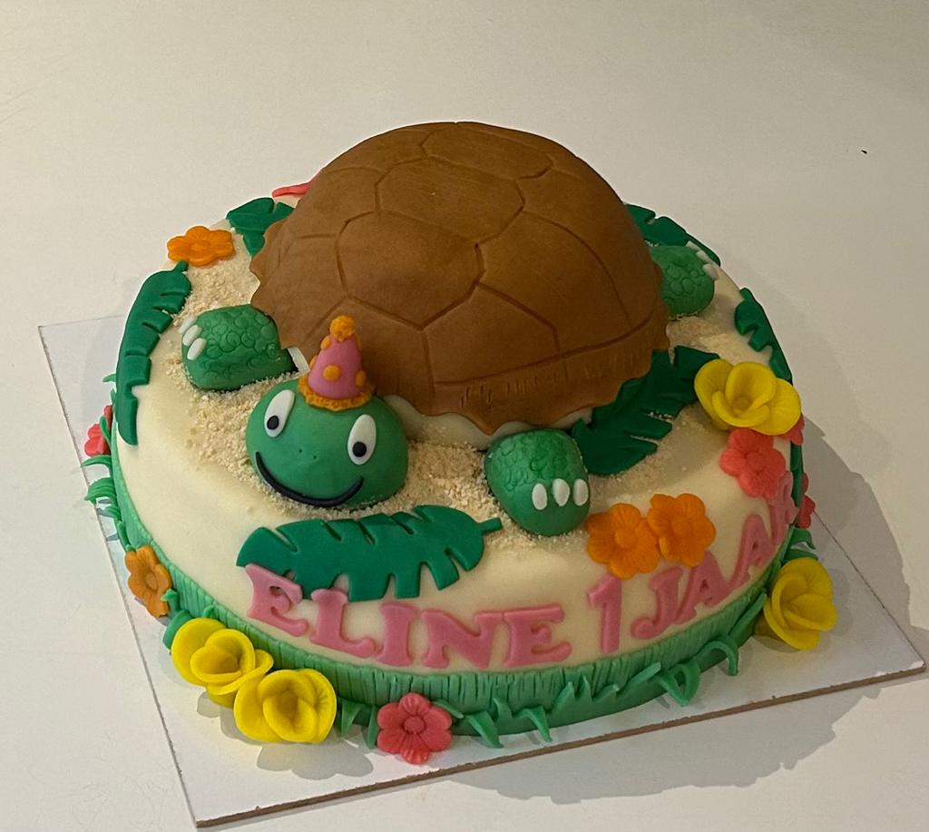 3D Schildpad taart ELINE - Het Taartenhuis