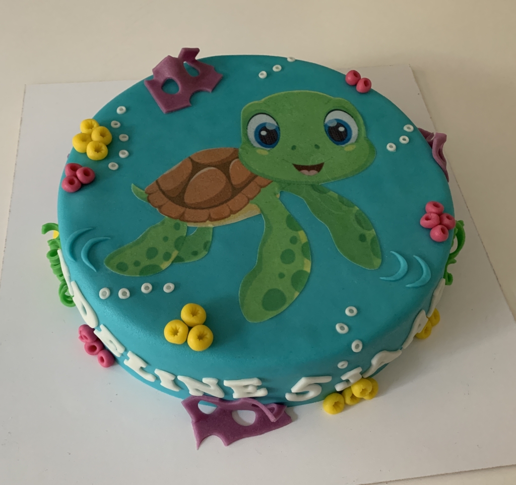 Schildpad taart EDELINE - Het Taartenhuis