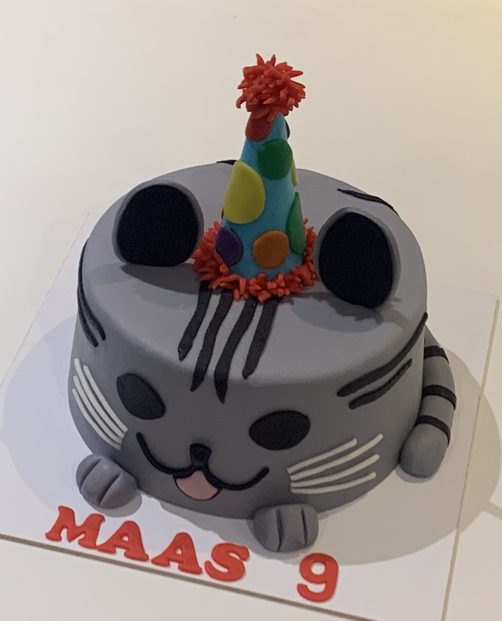 3D Kat taart MAAS - Het Taartenhuis