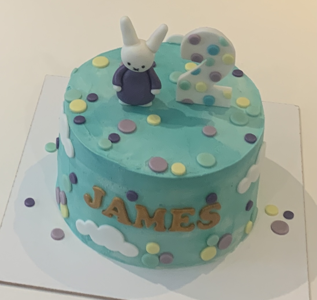 3D Nijntje taart JAMES - Het Taartenhuis