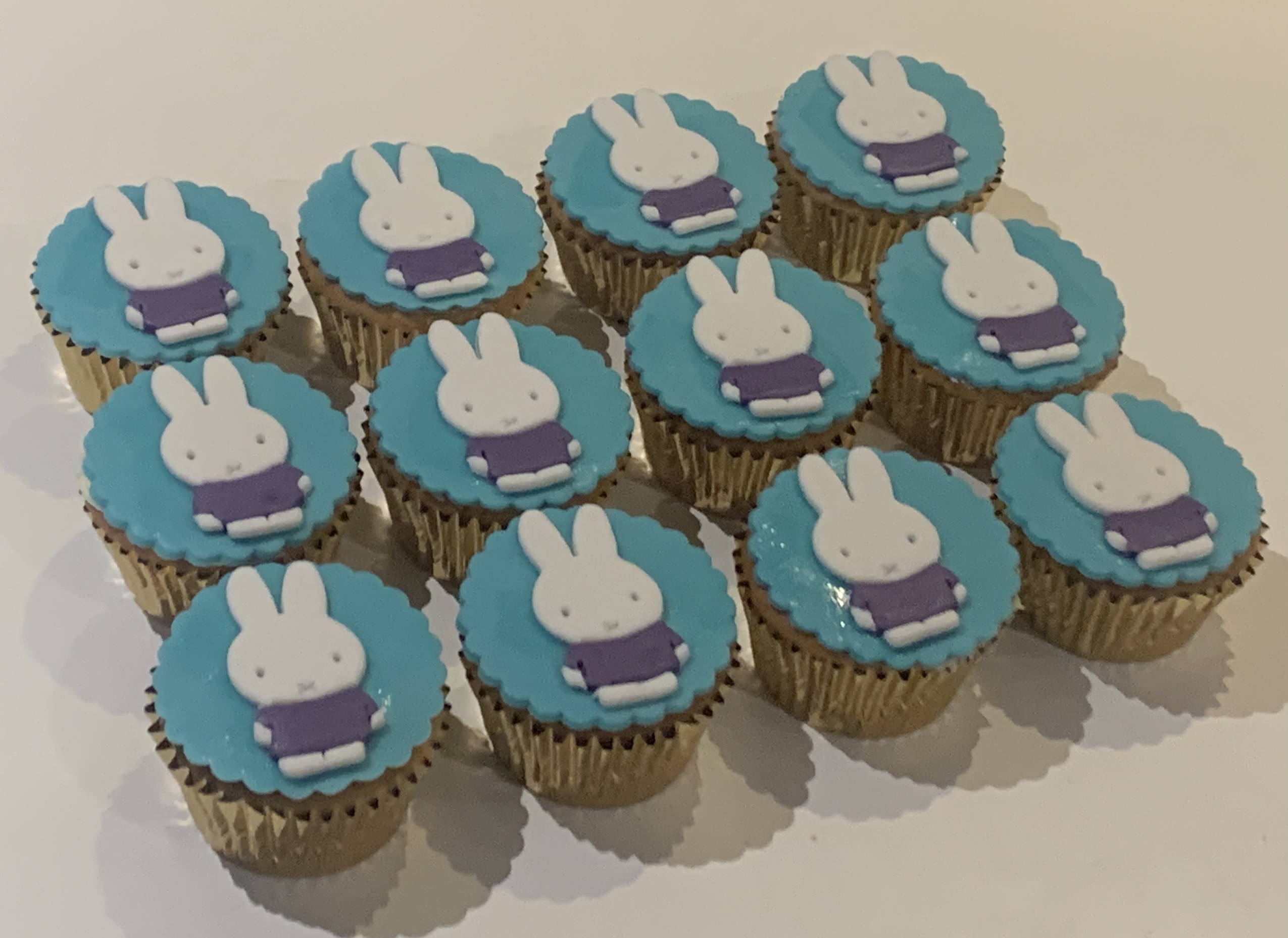 Cupcakes Nijntje - Het Taartenhuis