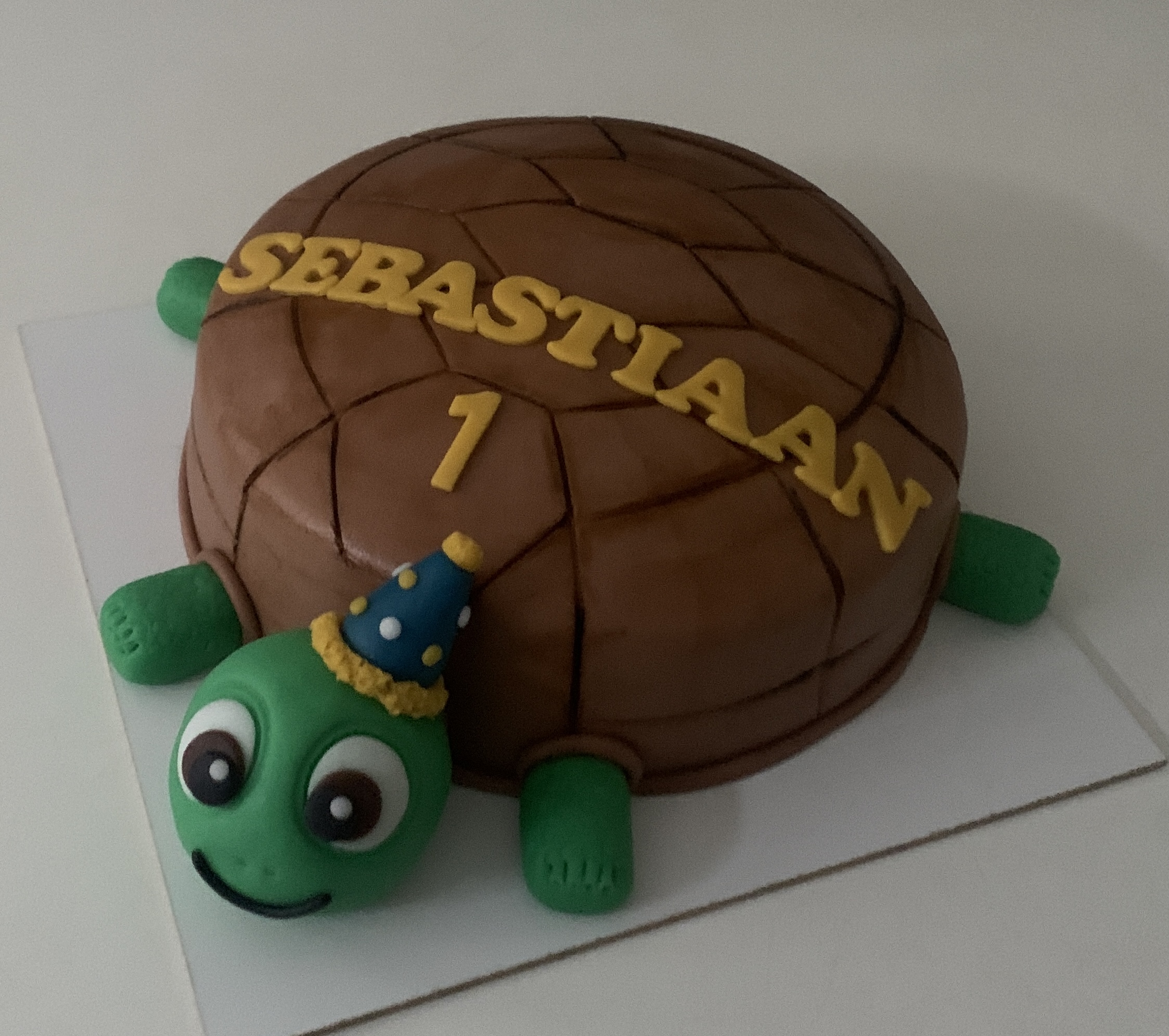 3D schildpad taart SEBASTIAAN - Het Taartenhuis