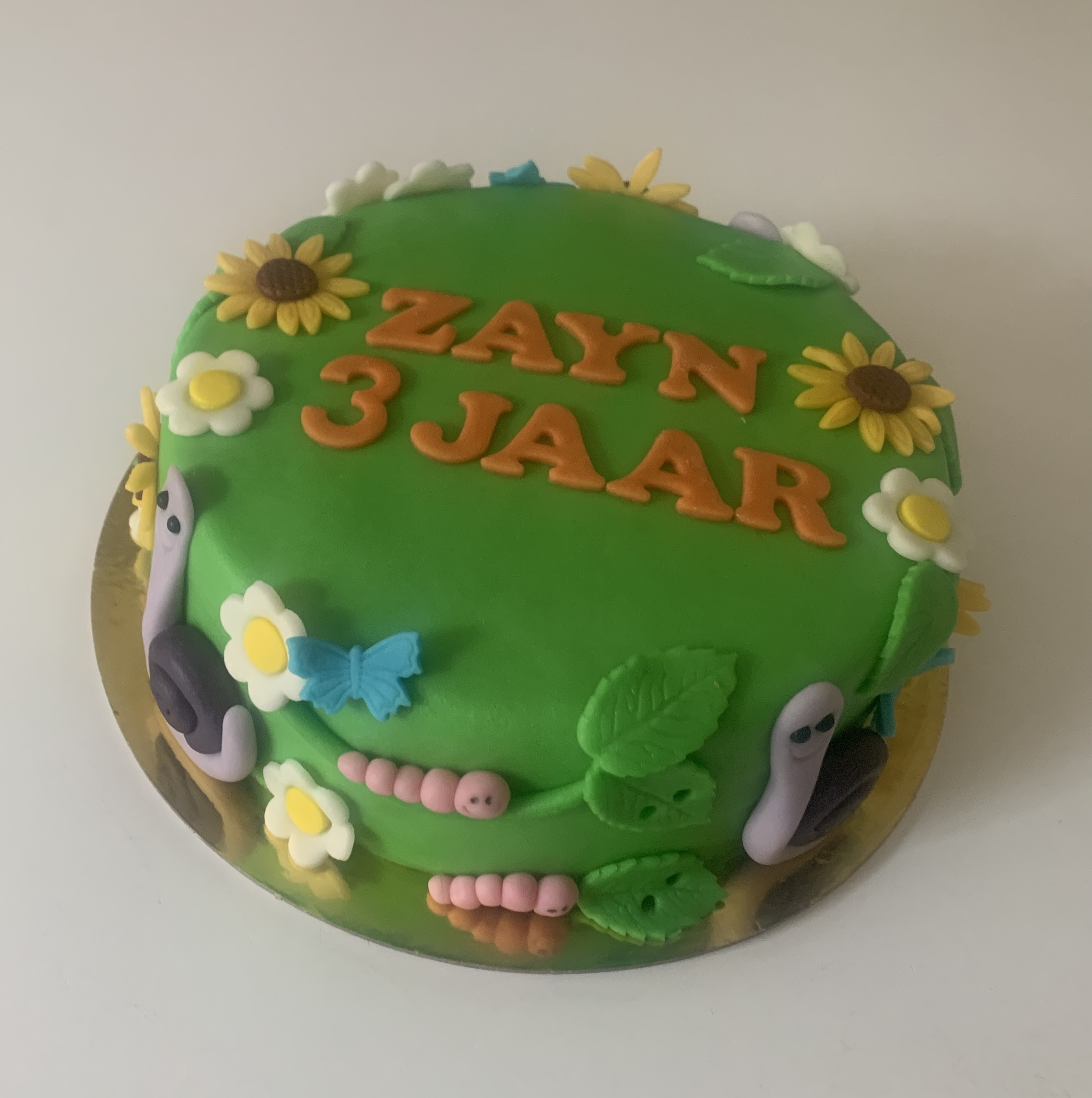 Insecten taart ZAYN - Het Taartenhuis