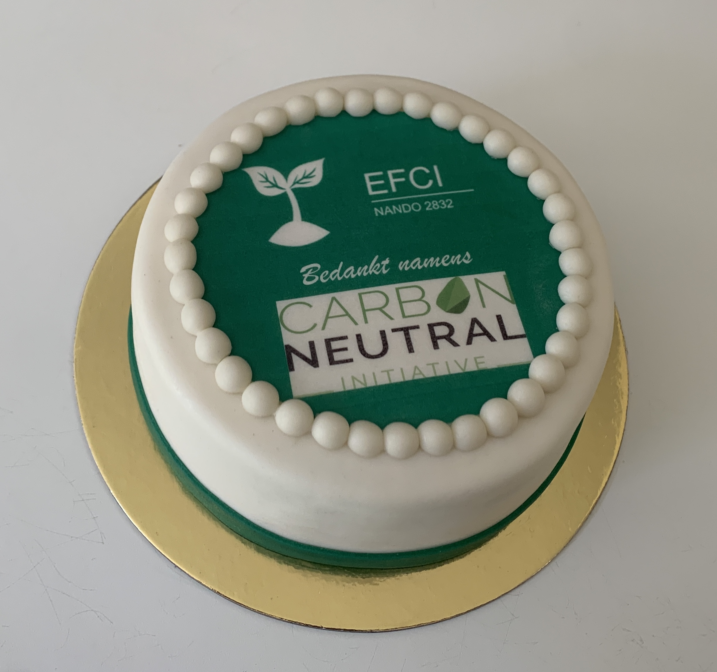 EFCI en CNI logo taart - Het Taartenhuis